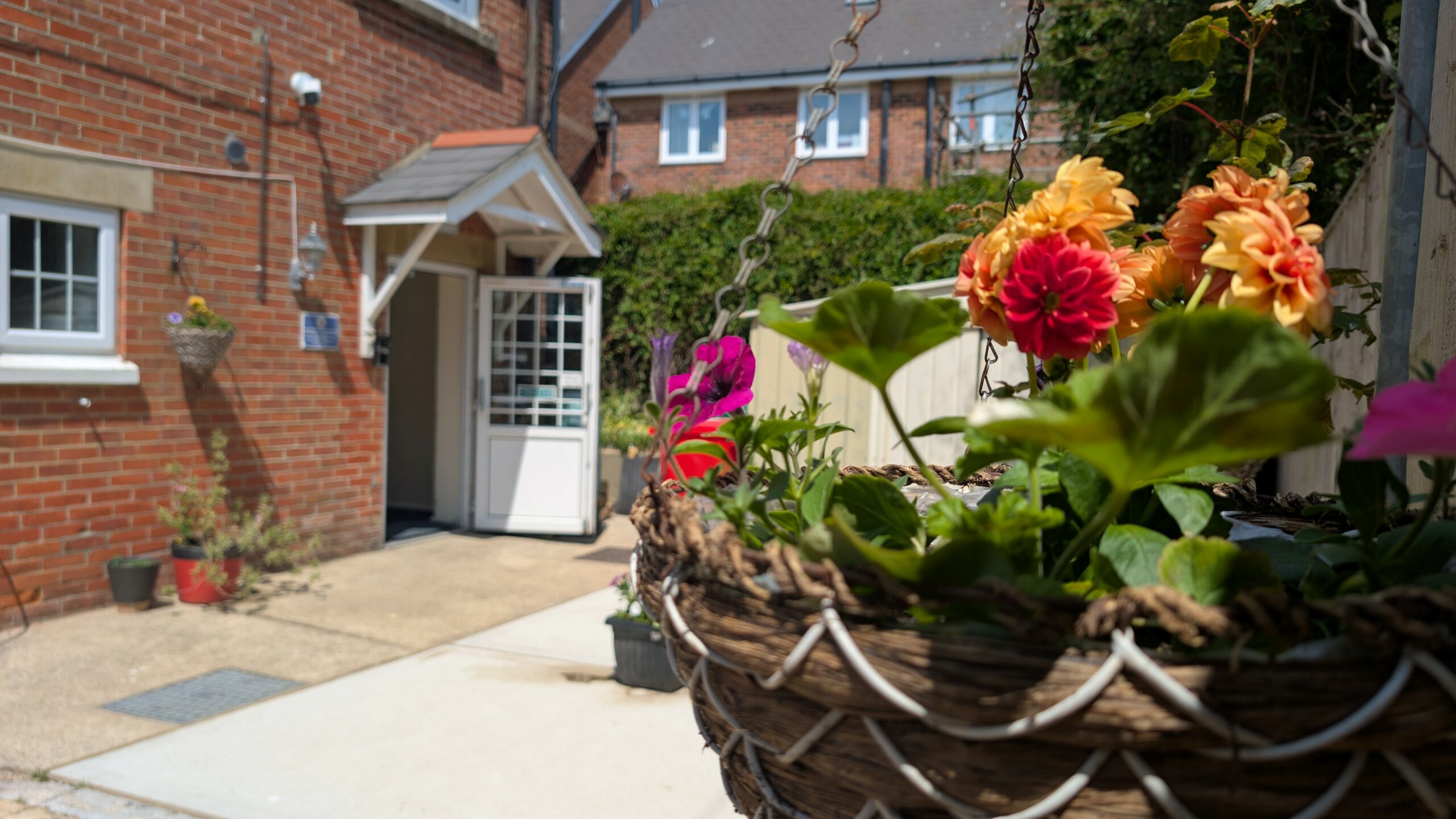 🌸 A Blooming Welcome at Freshwater Parish Council! 🌸 - Freshwater ...